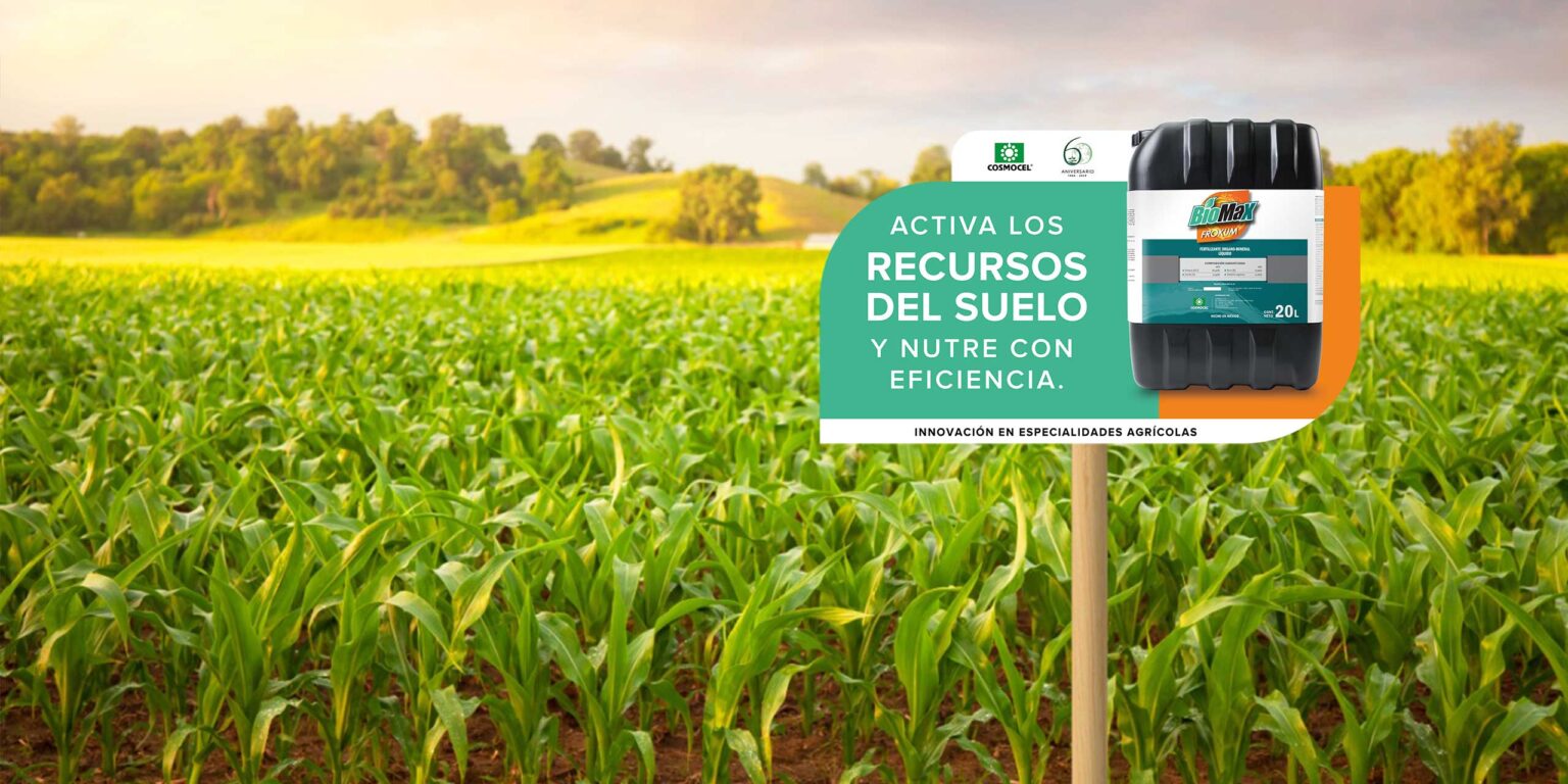 Diseño y Publicidad Digital - Creatividad Estratégica - Nova Creative Studio