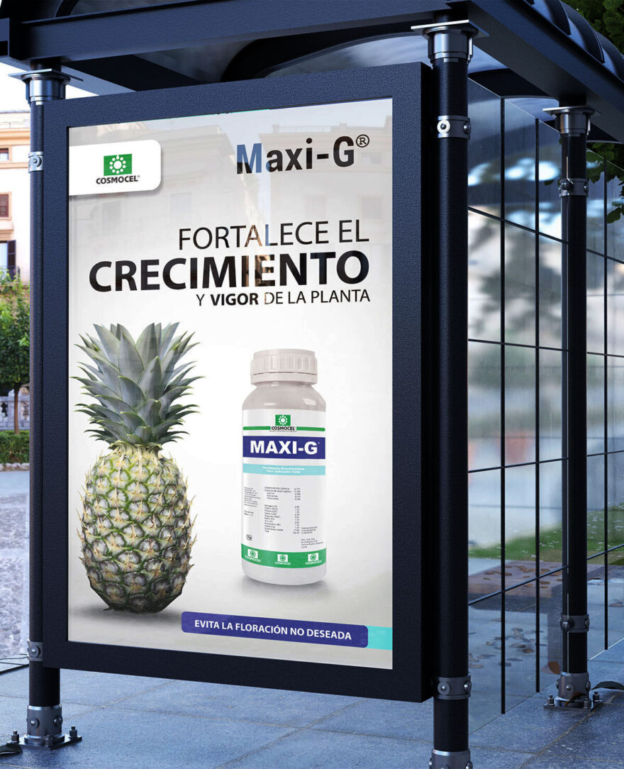 Diseño | Cosmocel - Diseño Gráfico - Nova Creative Studio